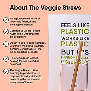 100% Biodegradable Eco-Friendly Wrapped Straws, 100ct – 8.25"H, Made of Vegetable Fibers