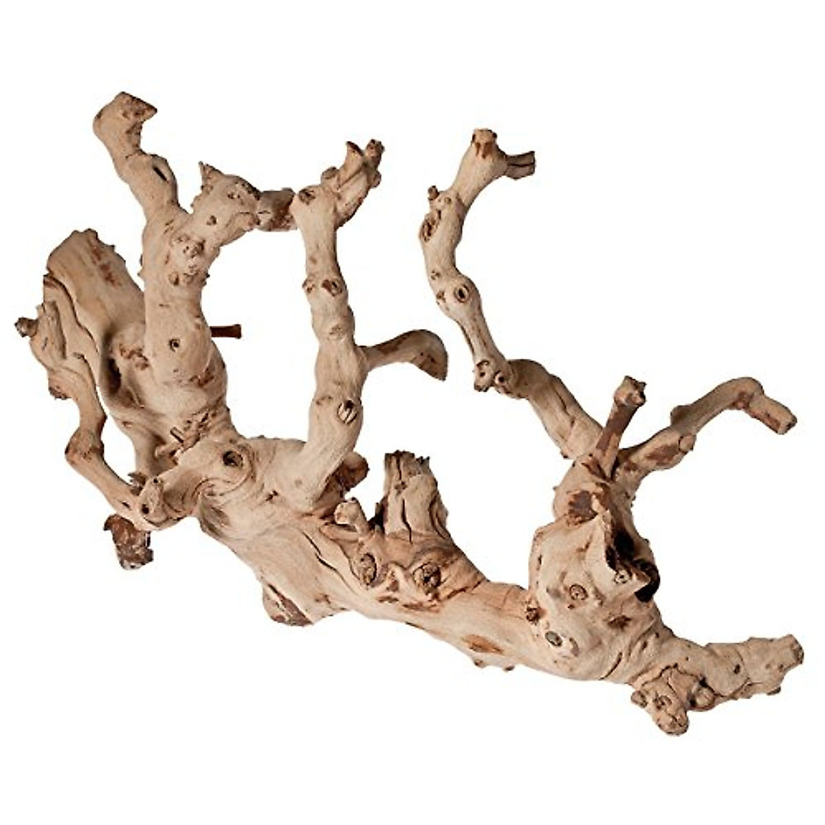 Pisces 18" Grapewood Sandblasted Branchy, Varies