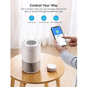 GoveeLife Smart Air Purifiers for Bedroom, with WiFi Alexa Control, HEPA 24dB Quiet Air Purifier with Fragrance Sponge, RGB Night Light, for Pet Dander, Allergies, Smoke, Office and Desktop, White