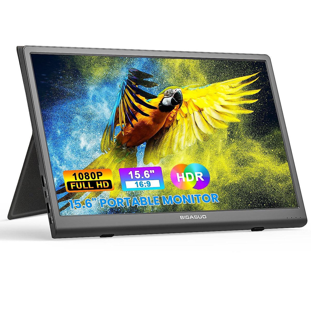 FANGOR Portable Monitor for Laptop (Black)