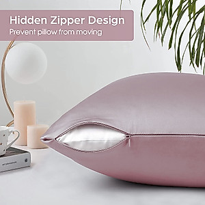 Veaken Silk Pillowcase for Hair and Skin, 2 Pack 100% Mulberry Silk Pillowcase 25 Momme, 600 Thread Count, Both Side Pure Silk Pillow Cover with Hidden Zipper (ApricotGray, Queen 20''×30'')
