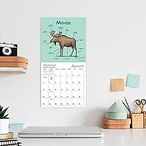 Be Your Best You 2024 Mini Calendar: Celebrate What Makes Ewe Unique — Illustrations by Sophie Corrigan, 7" x 7"
