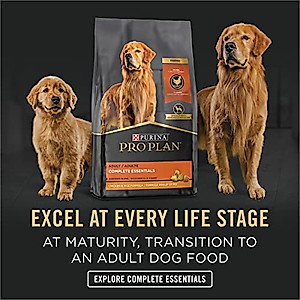 Purina Pro Plan High Protein Puppy Food Pate, Chicken and Brown Rice Entree - (12) 13 oz. Cans