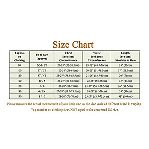 Lito Angels Baby Girls' Princess Dress Up Costume Purple Fancy Party Dress Outfit with Accessories Size 24 Months B