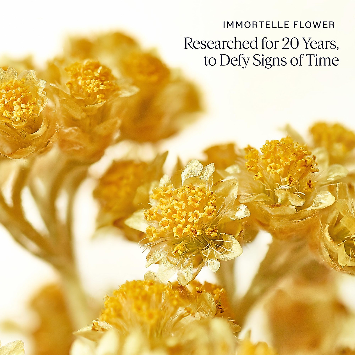 L’OCCITANE Immortelle Divine Firming Face Cream: Visibly Reduce the Appearance of Wrinkles, Retinol Alternative, Smooth Skin, Target Age Spots, Daily Moisturizer for a Youthful Radiance, 1.7 oz.