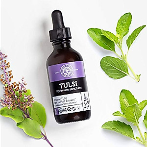 Global Healing Organic Tulsi (Holy Basil Leaf Extract) Vegan Liquid Supplement Drops (Organic basil) - Bioavailable Herb for Normal Stress Response, Natural Energy & Immune Support - 2 Fl Oz Tincture