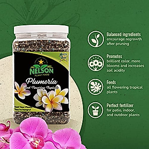 Nelson Plumeria Plant and All Flowering Tropicals Food Ferns Orchids Lilys In Ground Container Patio Grown Granular Fertilizer NutriStar 5-30-5 (2 lb)