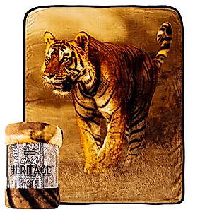 Northwest Savanna Tiger Oversized Raschel Throw Blanket, 60" x 80"