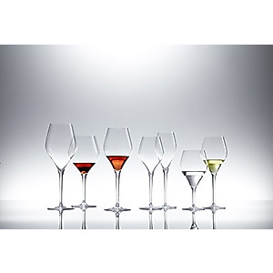 Schott Zwiesel Tritan Crystal Glass Finesse Stemware Collection Champagne Flute with Effervescence Points (Set of 6), 10.0 oz, Clear