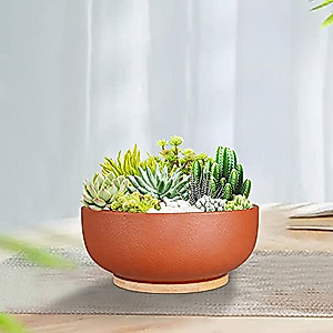 SQOWL 10 Inch Large Terracotta Planter Pot,Clay Succulent Bonsai Planter with Drainage Hole and Bamboo Saucer for Indoor Plants