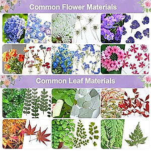 Suziko Large Flower Press Kit for Adults& Kids Flower &Plant Preservation Kit Measures 10.8" x 6.9" Arts and Crafts for Adults Leaf Press & Flower Press- Great Gift for Lovers