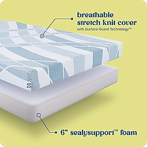Sealy Dreamlife 6” Foam Mattress-in-a-Box, Full