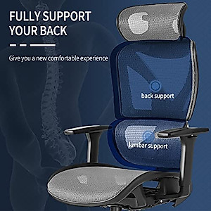 GABRYLLY Office Chair, Large Ergonomic Desk Chairs, High Back Computer Chair with Lumbar Support, 3D Armrest, Breathable Mesh, Adjustable Headrest, with Tilt Function, (Grey)29.5D x 40.9W x 51.2H Inch