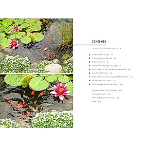 How Plants Work: The Science Behind the Amazing Things Plants Do (Science for Gardeners)