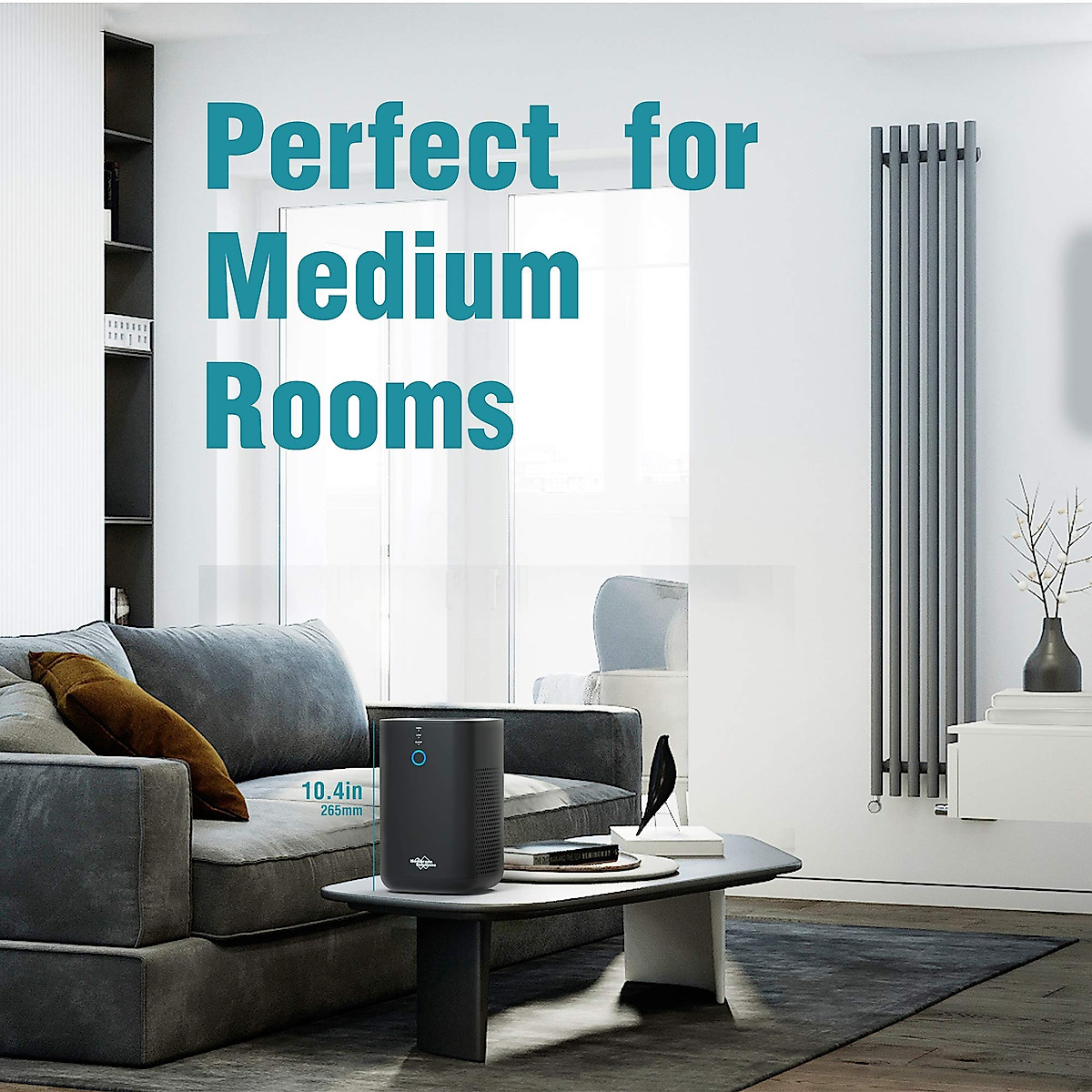 Membrane Solutions Air Purifier for Home Bedroom with H13 True HEPA Filter, Eliminate Allergies, Smoke, 99.97% Pollen Dust Pets Dander and Odors, 24dB Ultra Quiet Desktop Air Cleaners Office,Black 2J8