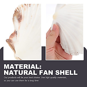 10 Pcs Natural Baking Sea Shells, 5 Inch Baking Shells, Scallop Shells for Serving Food (Random Color)