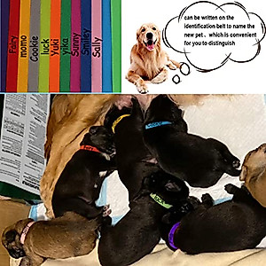 15 Pcs Puppy Whelping Collars Newborn Pet Collars Double-Sided Soft Adjustable ID Bands Puppy Id Collars for Newborn Pet Dog Cat 15 Colors