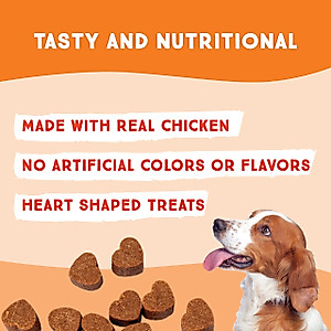 SuchGood Hip and Joint + Skin and Coat Dog Treats - Support Chews for All Breed Sizes and Ages, Glucosamine and Chondroitin + Salmon and Flaxseed Oil for Dogs (Chicken Flavor, 4 Packs)