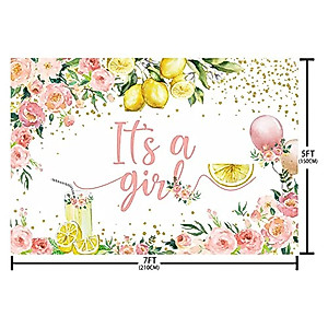 AIBIIN 7x5ft Lemon Baby Shower Backdrop It's A Girl Pink Flowers Balloons Photography Background Baby Shower Party Decorations Banner Cake Table Photo Booth Props