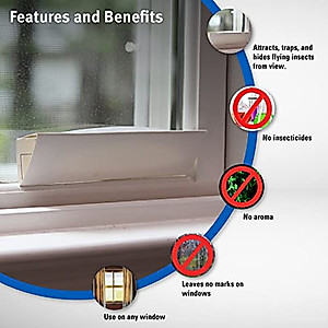 Raid, 4 Pack, Discreet Window Fly Trap
