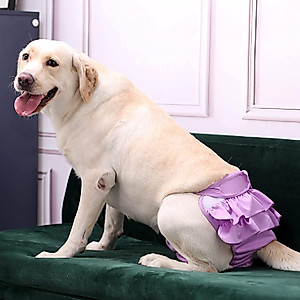 Dog Sanitary Panties Pet Panties for Girl Dogs Menstrual Period, Washable & Reusable Female Dog Diapers Pet Princess Dress for Dogs in Heat, Incontinence or Excitable Urination (XX-Large, Purple)