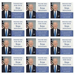 Crazy Novelty Guy (12-Pack) Bulk Prank Postcards - Joe Biden Re-Election Campaign Fund - Pranks Practical Jokes Gags Revenge Hate Mail - Send Them To Your Victim Yourself