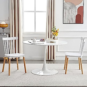 Rabsyung 42" Round White Tulip Table Mid-Century Dining Table with Round MDF Table Top, Pedestal Dining Table, Leisure Coffee Table