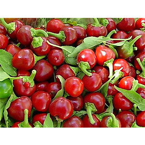 Sweet Red Cherry Pepper Seeds for Planting, 25+ Heirloom Seeds Per Packet, (Isla's Garden Seeds), Non GMO Seeds, Botanical Name: Capsicum annuum, Great Home Garden Gift