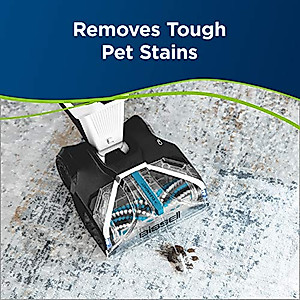 Bissell Professional Pet Urine Eliminator + Oxy Carpet Cleaning Formula, 48 oz, 1990, 48 Ounce