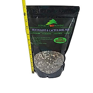 Succulent & Cactus Soil Mix - Premium Pre-Mixed Fast Draining Blend (2.5 Dry Quarts)