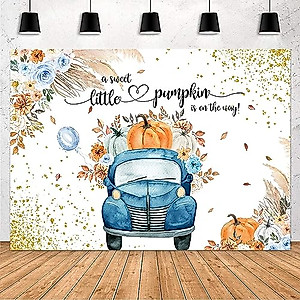 Avezano Blue Pumpkin Baby Shower Backdrop for Boy Boho Fall Baby Shower Decorations Little Pumpkin Truck Banner Thanksgiving Autumn Newborn Baby Shower Party Background(7x5ft)