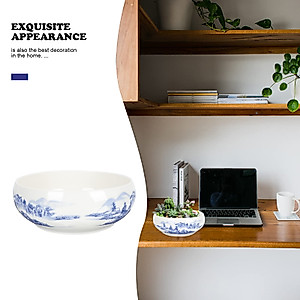 Hemoton Large Round Succulent Planter Pot Blue and White Porcelain Plant Pot Ceramic Flowerpot Hydroponic Plant Container Glazed Ceramic Bonsai Pots Narcissus Water Lily Bowl, A