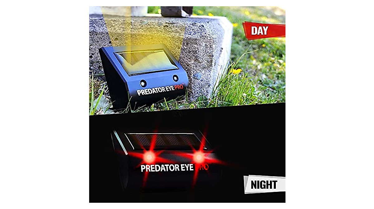 Predator Eye PRO: Solar Animal Deterrent | 4600sq ft | 2-Pack