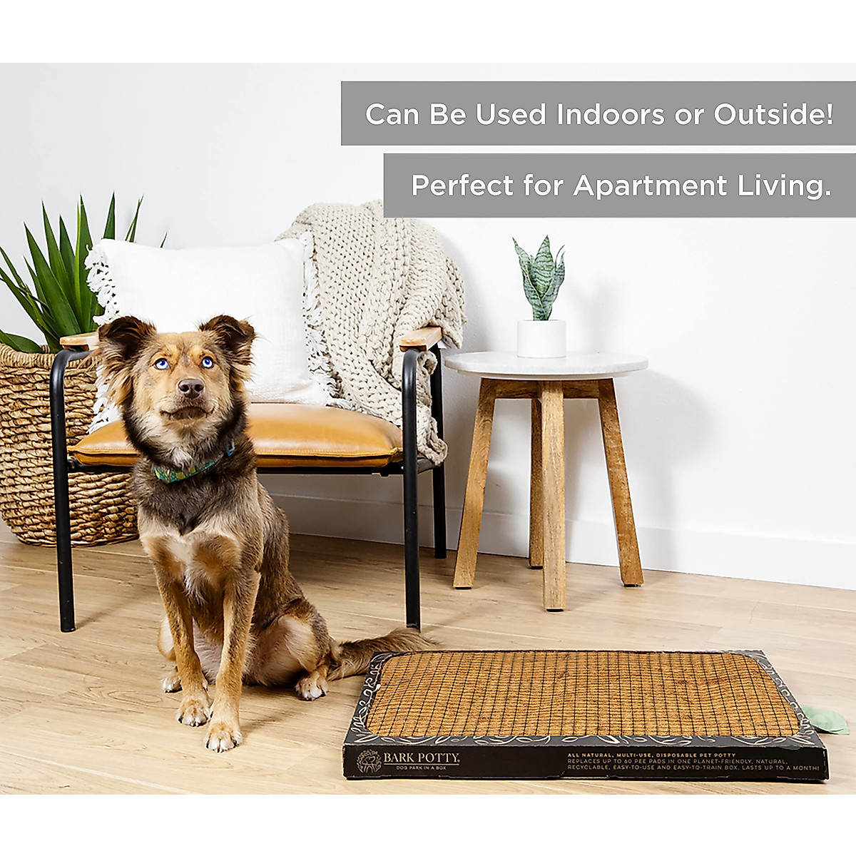 Puppy Bark Potty Disposable Dog Potty - Multi-Use, Odor Neutralizing, Non-Leaking - Replaces Traditional Pee Pads - Indoor/Outdoor