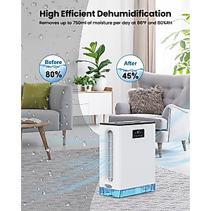 BIZEWO Dehumidifier for Home, Queit Dehumidifiers for Basement, Bathroom, Bedroom with 101 oz Water Tank, Large Room Dehumidifier with 2 Working Mode, Auto Shut Off, 7 Colors LED Light