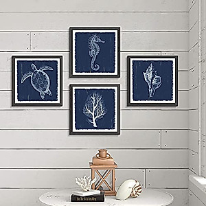 Sea life Art Framed Artwork: Coastal Pictures Ocean Theme Square Collection Set of 4 Wall Decor Set Prints for Bedroom (Multi-Style)