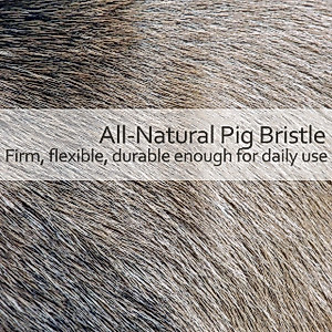 REDECKER Natural Pig Bristle Travel Nail Brush with Waxed Olive Wood Handle, 2-1/4-Inches - Boar Bristle Nail Brush For Cleaning Fingernails - German Wooden Nail Brush