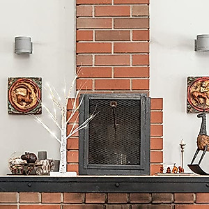 MEETYAMOR 2 Pack 24” 2FT Lighted Birch Tree with 18LT Warm White LEDs, Christmas Decorations Indoor Battery Powered Timer, Artificial Branch Trees for Money Tree Party Wedding Table Mantel Home Decor