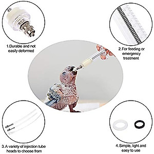 OBANGONG 2 Sets Hand Feeding Syringe for Birds,Feeding Tubes used for Pet Baby Bird Parrot feed milk and medicine,20ml,10ml