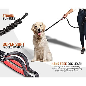 Hands Free Dog Leash for Medium and Large Dogs with Large Zipper Pouch - Adjustable Length 3mm Thick Double Bungee Leash, 2 Padded Handles Heavy Duty Leash (Red, 27-38 inches Waist)