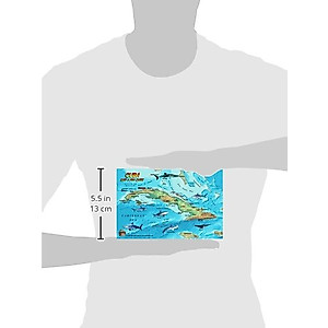 Cuba Dive Map & Coral Reef Creatures Guide Franko Maps Laminated Fish Card