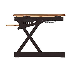 Rocelco 32" Height Adjustable Standing Desk Converter - Sit Stand Computer Workstation Riser - Dual Monitor Retractable Keyboard Tray Gas Spring Assist - Teak Wood Grain (R EADRT)