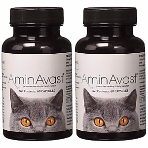 AminAvast Kidney Support Supplement for Cats and Small Dogs, 300mg 2-Pack - Promotes Natural Kidney Function - Aids in Health and Vitality of Aging Kidneys - Easily Administered - 60 Sprinkle Capsules