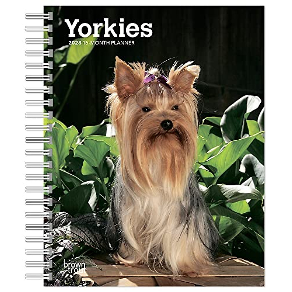Yorkshire Terriers | 2023 6 x 7.75 Inch Spiral-Bound Wire-O Weekly Engagement Planner Calendar | New Full-Color Image Every Week | BrownTrout | Yorkies Dog Breeds DogDays