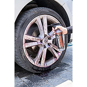 SHINE ARMOR Iron & Fall Out Remover Quick Rust & Iron Remover for Car Detailing Non Acid PH Balanced Solution 16 Fl Oz