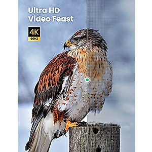 UGREEN Micro HDMI to HDMI Cable Adapter 4K 60Hz Ethernet Audio Return Channel Compatible with GoPro Hero 7/6 Raspberry Pi 4 Retroid Pocket 2+ Yoga 3 B500 Sony A6000 Camera Video Capture Card 3FT