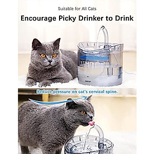 HAPUP Cat Water Fountain Animal Water Dispenser 61OZ/1.8L Automatic Pet Drinking Fountain Clear Upgrade with 2 Filter Replacement 1 Adjustable Silent 1 Water Pump for Cats Kitty Indoor