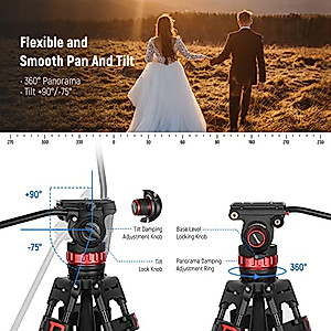 NEEWER 74" Pro Video Tripod with Fluid Head, All Metal Heavy Duty QR Plate Compatible with DJI RS Gimbals Manfrotto, Flexible 360° Pan&+90°/-75° Tilt with Adjustable Damping Max Load 18lb/8kg, TP75