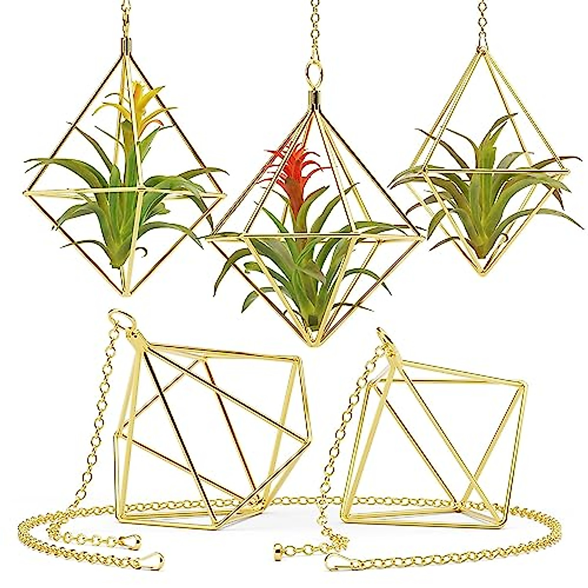 Air Plant Holders w/Hooks & Chains - Indoor Air Plants and Holders Sets, Freestanding & Wall Hanging Planters - 5 Geometric Shapes Air Plant Holder - Hanging Air Plant Holder