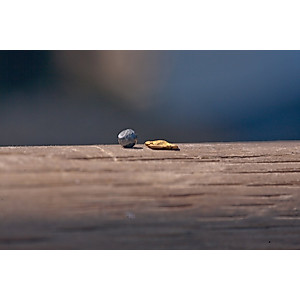 Garrett at Gold Waterproof Metal Detector with Headphones and ProPointer at PinPointer